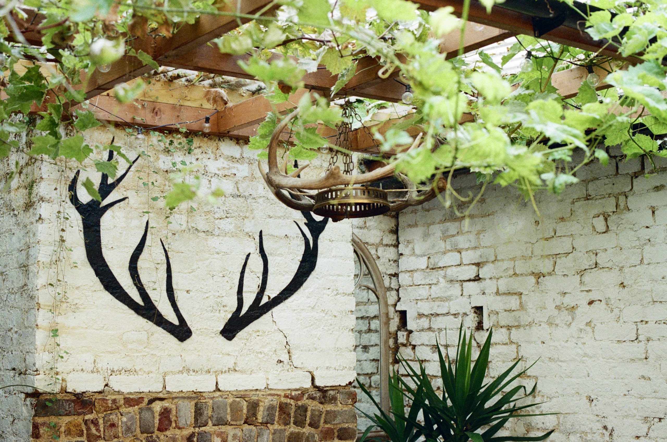 Barber/stylist • British Hairdressing Association
